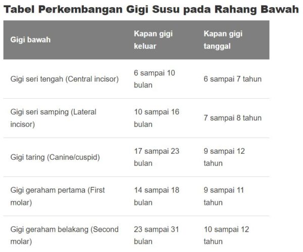 Gigi Seri Anak 6 Tahun Goyang, Ini Urutan Tanggal Gigi Susu